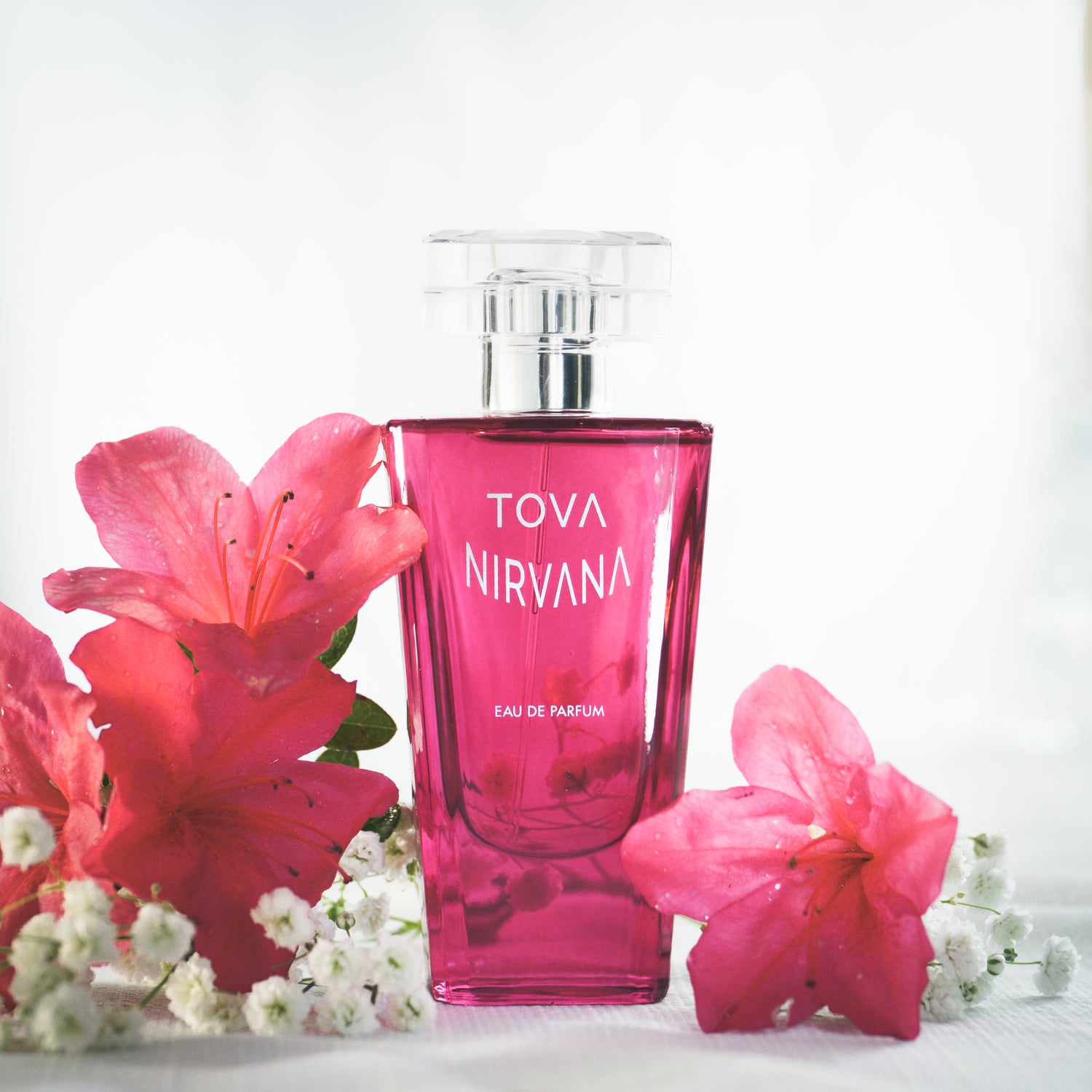 Fragrance Collections – TOVA Beverly Hills