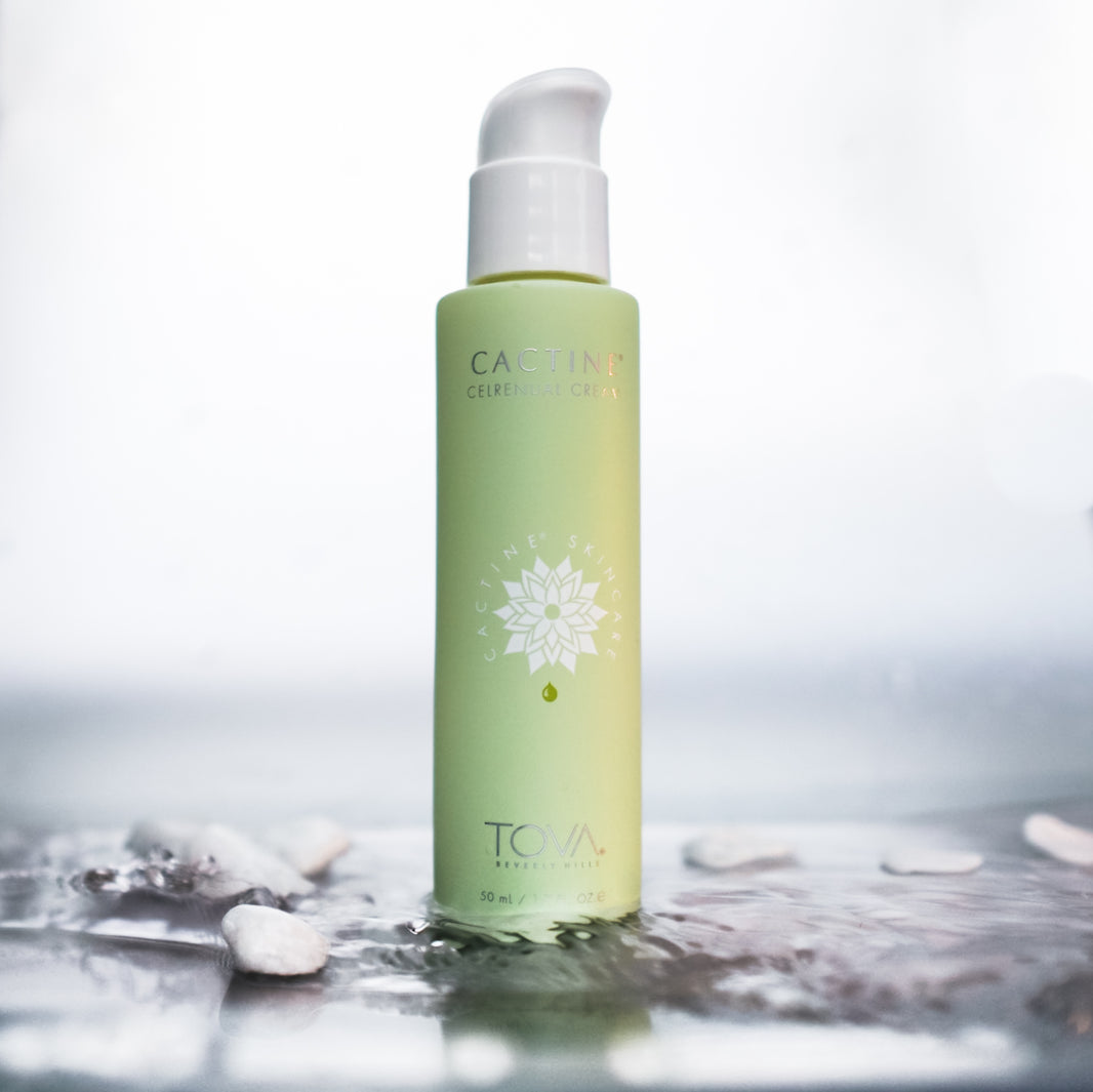 Products – Beauty By TOVA - TOVA Beverly Hills